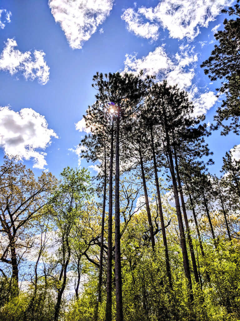 Explore - Old World Wisconsin